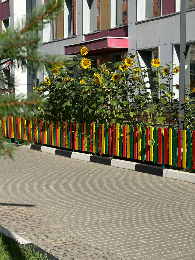 Anaokulları Gymnasium No. 16, Mytişçi, foto