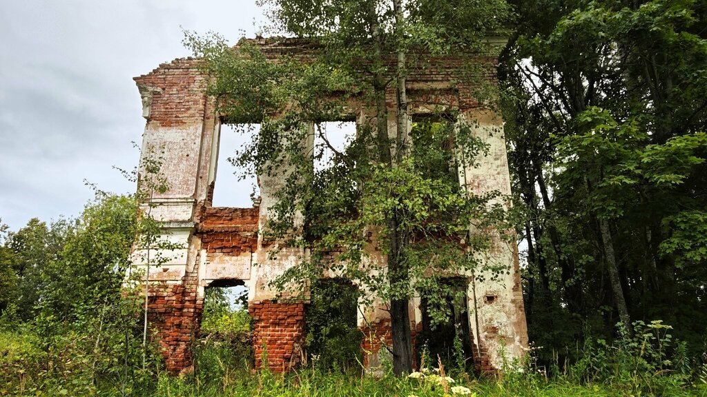 Turistik yerler Ruins of a manor house, Tverskaya oblastı, foto