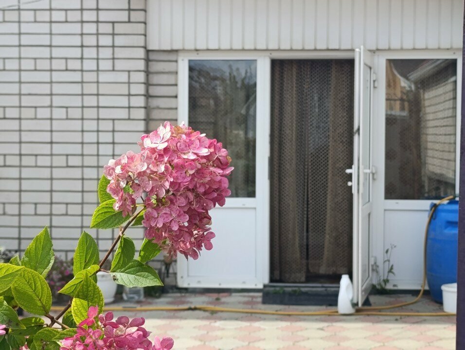 Yemişler Клубника, Barnaul, foto