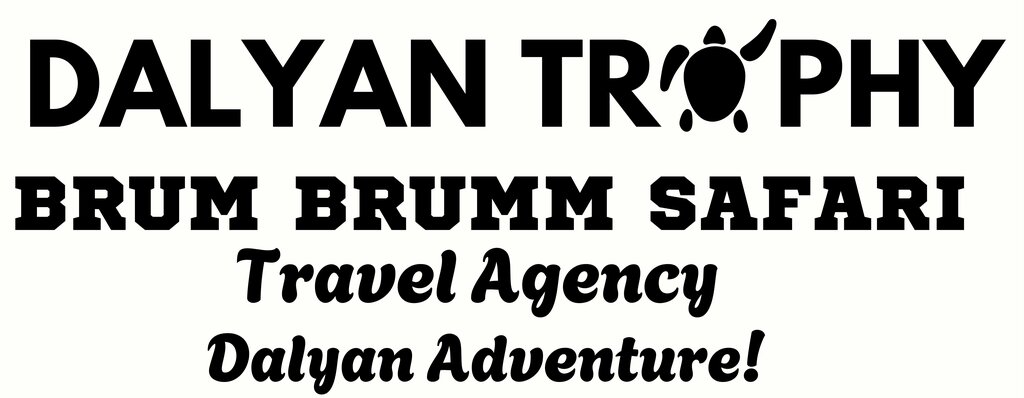 Seyahat acenteleri Dalyan Trophy Brum Brumm Travel Agency, Ortaca, foto