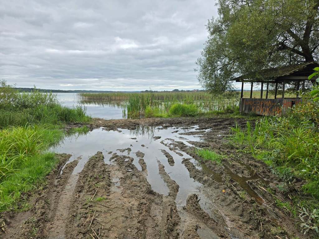 Plaj Пляж, Pskovskaya oblastı, foto