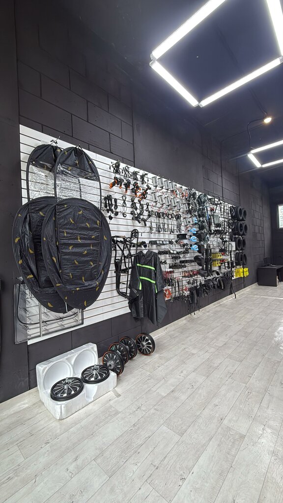 Kişisel elektrikli araç tamiri Аладдин Сервис, Moskova, foto