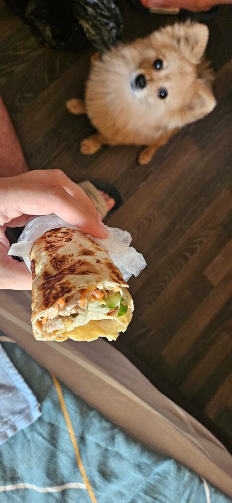Fast food Египетская Шаверма, Saint‑Petersburg, foto