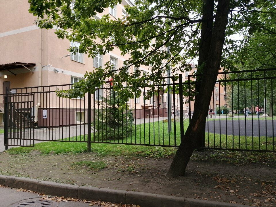Ortaokul GBOU Secondary School № 489, Saint‑Petersburg, foto