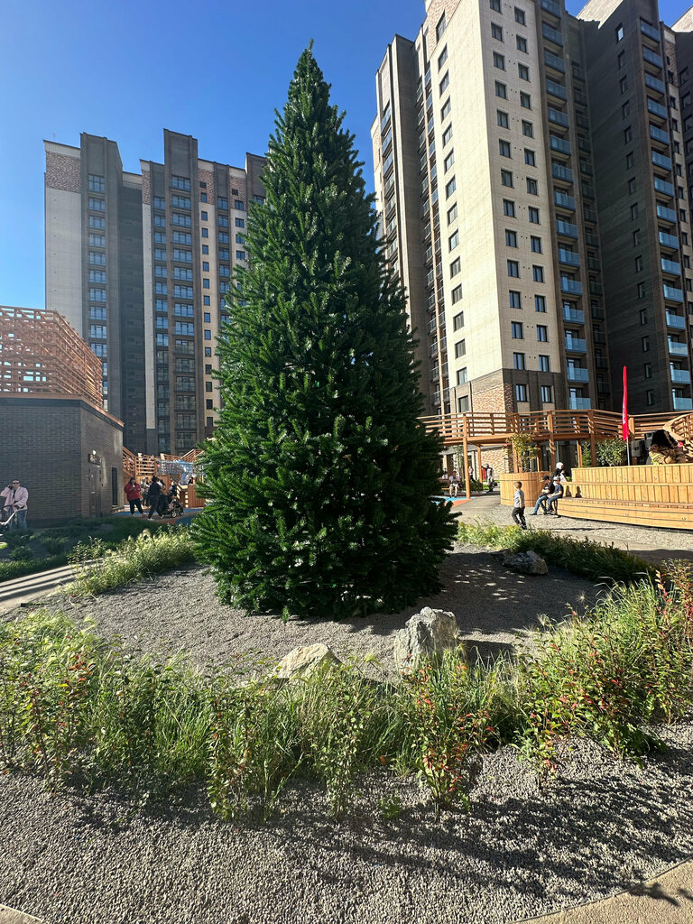 Konut blokları ЖК Барбарис, Krasnoyarsk, foto