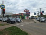 Mamoyan Green Line (ulitsa Generala Trosheva No:1/12), çiçekçiler  Krasnodar'dan