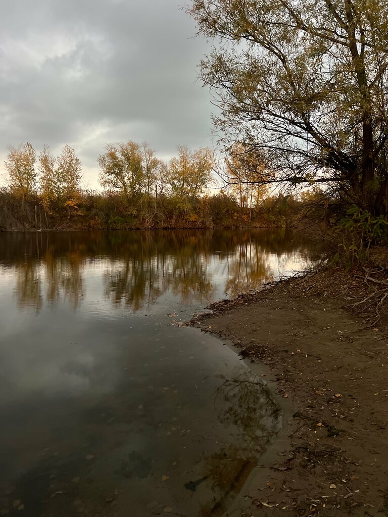 Plaj Пляж, Volgogradskaya oblastı, foto