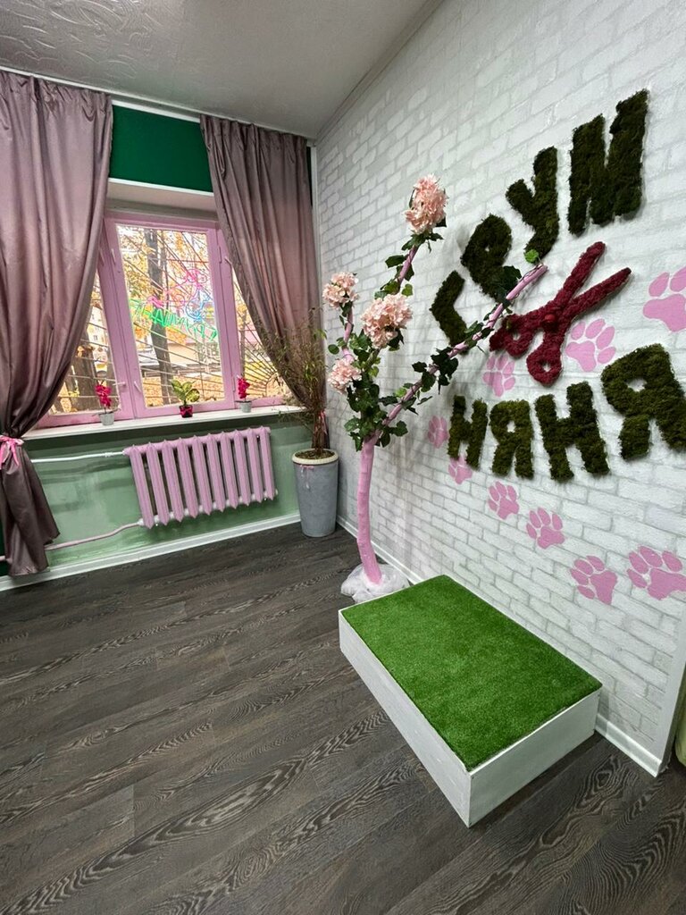 Evcil hayvan kuaförleri ГрумНяня, Liubertsy, foto