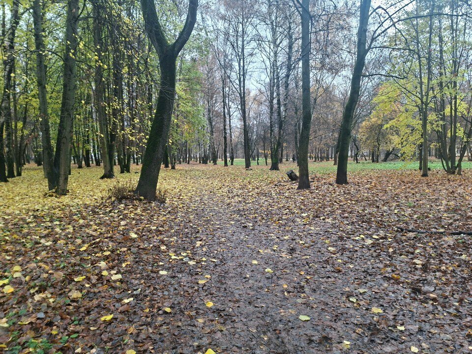Kültür ve eğlence parkları сквер имени А.С. Макаренко, Koroliov, foto