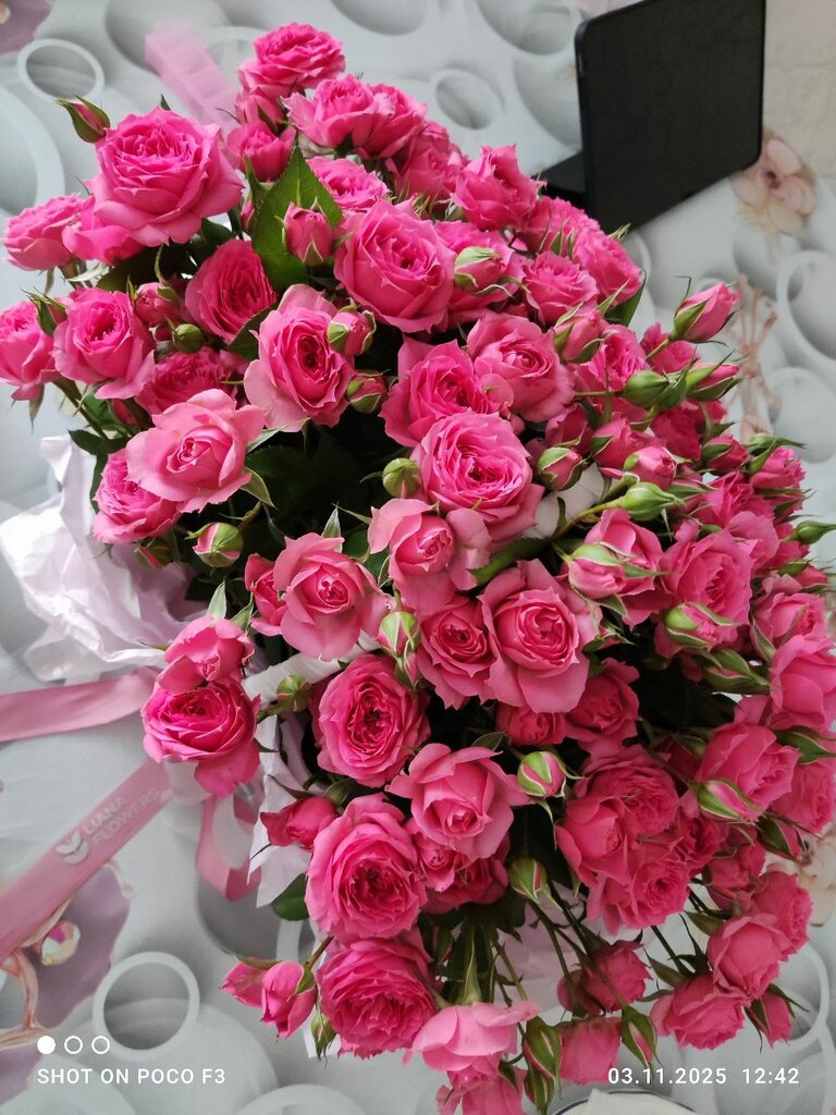 Tanı merkezleri Umit, Atırav, foto