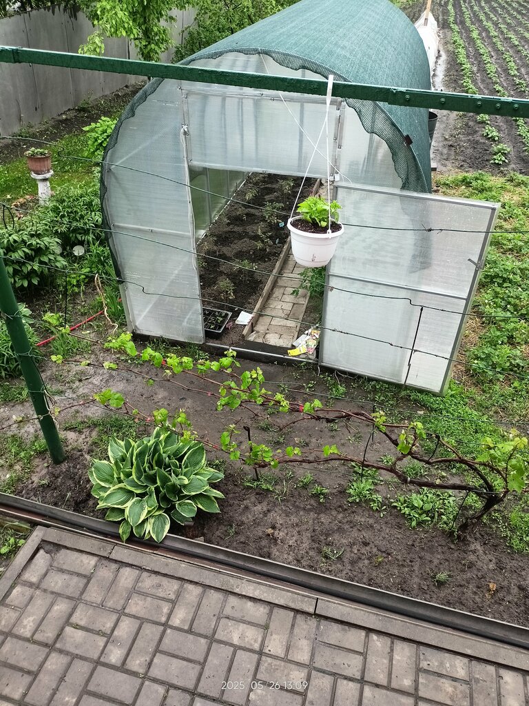 Ev eşyası mağazaları Теплицы Comfortprom в Дачном Дискаунтере 7771 в Рассрочку, Minskaya oblastı, foto