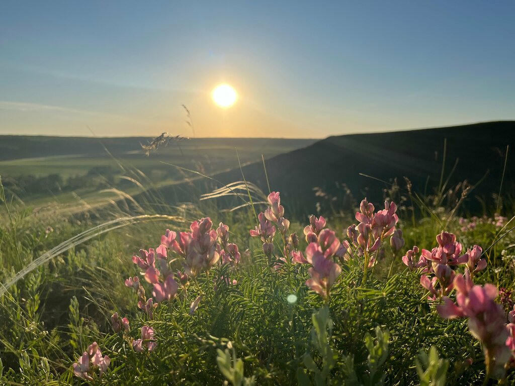 Dağ zirvesi Гора Курник, Orenburgskaya oblastı, foto