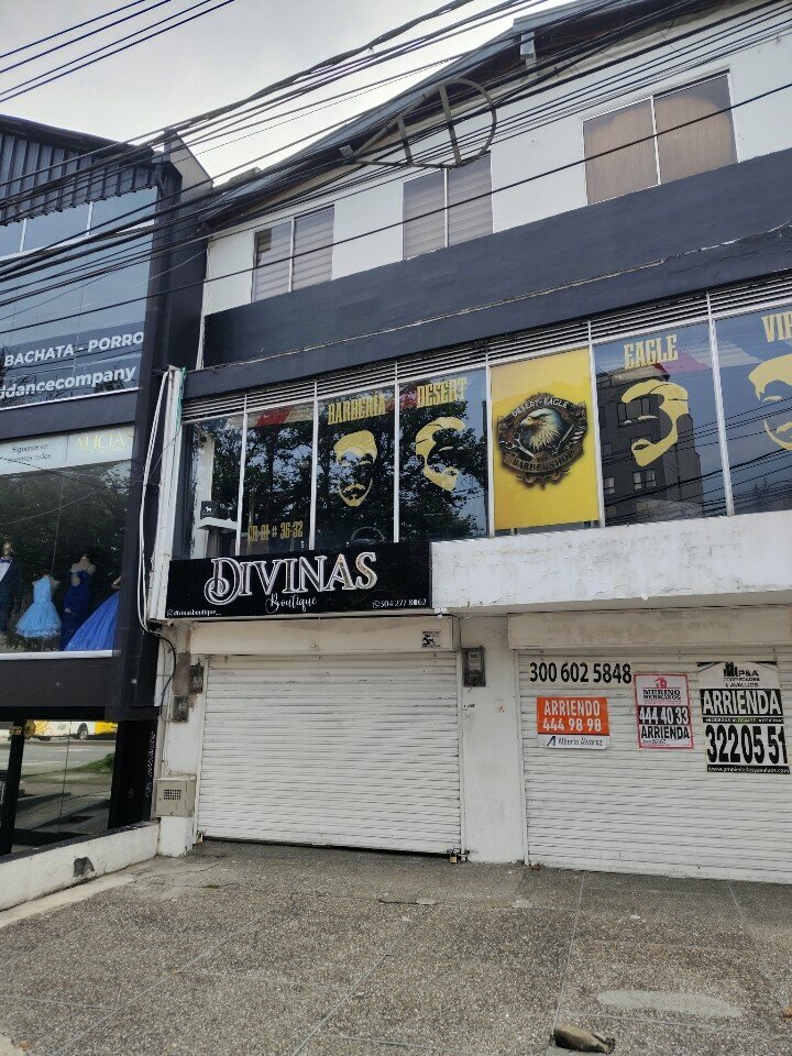 Berberler Barberia desert eagle, Medellin, foto