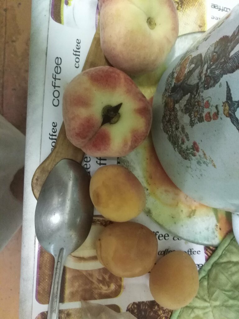 Manavlar Овощи и фрукты, Vologda, foto