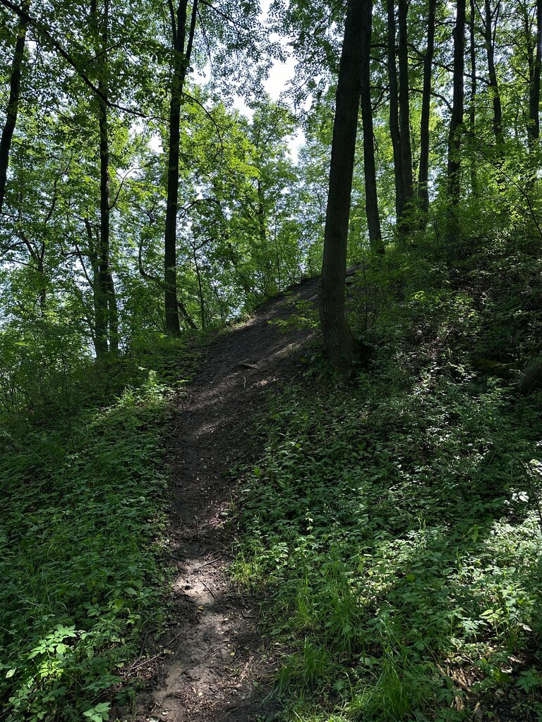 Turistik yerler Городище Спас-Городец, Kalujskaya oblastı, foto