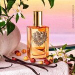 Elyssa Perfumes (5, 2 Street, Al Barsha 1, Al Barsha, Hadaeq Mohammed Bin Rashid, Dubai), kozmetik ve parfümeri mağazaları