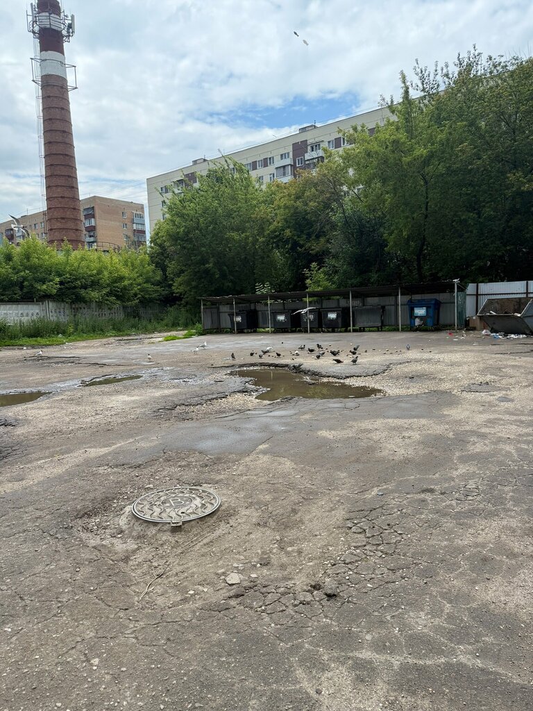 Çöp alanları Trash and garbage disposal area, Orehovo‑Zuyevo, foto