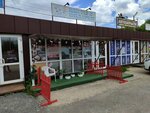 Эдем (Pugachyovskiy trakt No:13), çiçekçiler  Samara'dan
