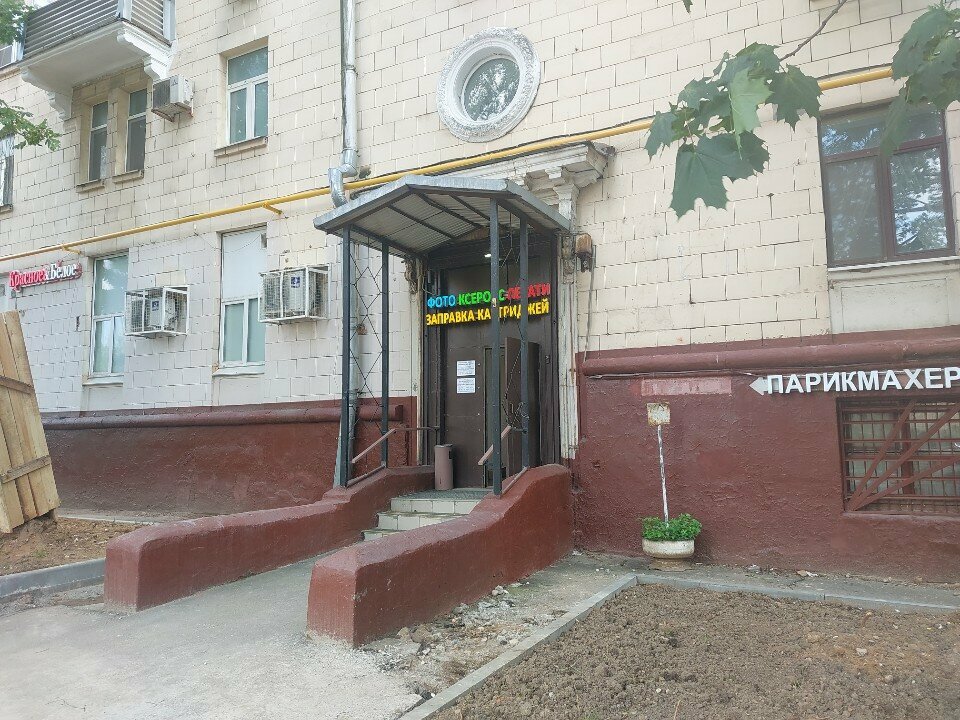 Evcil hayvan kuaförleri Zoosokolov, Moskova, foto