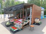 Фрукты-овощи (Oktyabrskiy prospekt No:78/1), manavlar  Kemerovo'dan