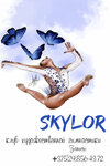 Skylor (Gromava Street No:14), spor kulüpleri  Minsk'ten