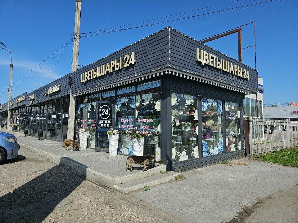 Çiçekçiler Цветы - шары, Irkutsk, foto