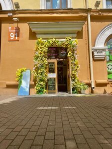 Солнце (Minsk, Niezaliezhnasci Avenue, 91), coffee shop  Minsk'ten