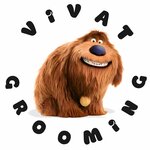 Vivatgrooming (Lopasnenskaya Street No:7), evcil hayvan kuaförleri  Çehov'dan