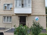 Нововоронежская федерация по хоккею (Naberezhnaya Street No:32Б), spor kurumları  Novovoronej'den
