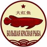 Big Red Fish (Moskovskoye Highway No:125Б), çay mağazaları  Samara'dan