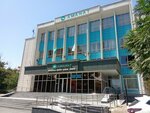 Civil Alliance of Shymkent (Beıbitshilik kóshesi No:3), sivil toplum kuruluşları  Çimkent'ten (Şımkent'ten)