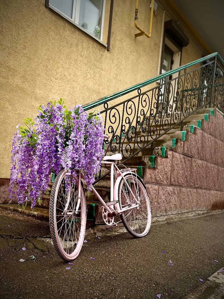 Çiçekçiler Гойя, Almetyevsk (Elmet), foto