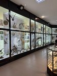 Museum of History and Nature of Karadag (улица Науки No:22, посёлок городского типа Курортное), müzeler ve sanat galerileri  Kırım Cumhuriyeti'nden