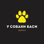 У собаки Баси (Moskovskiy Tract Street No:87к2), evcil hayvan kuaförleri  Tiumen'den