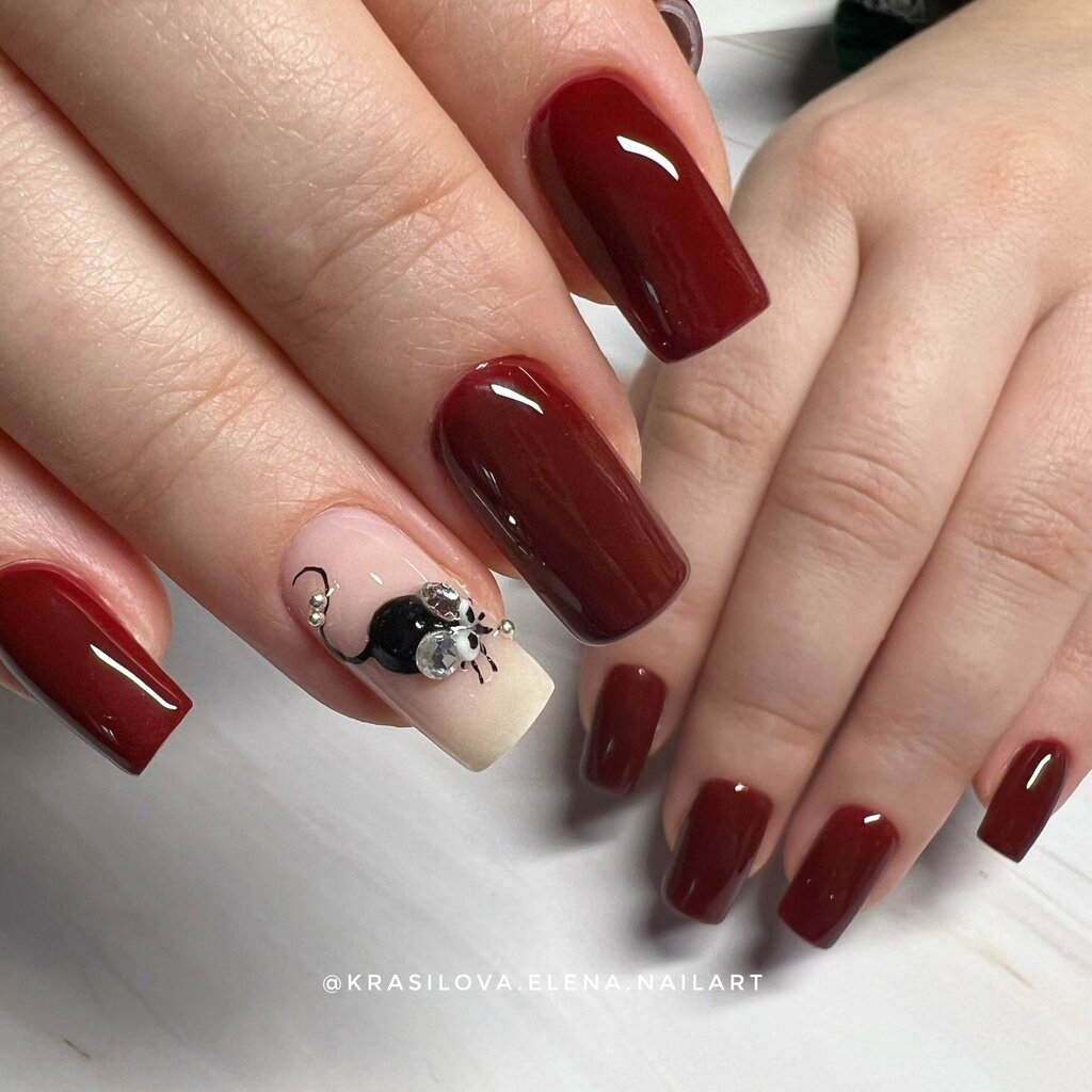 Güzellik salonu ТоРо, Kaliningrad, foto