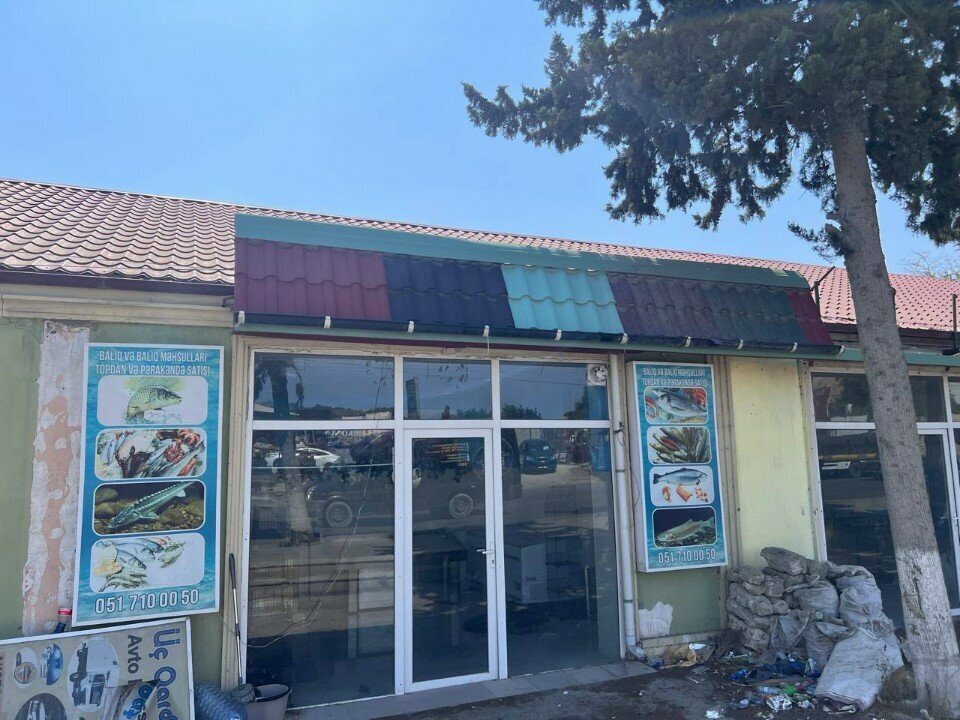 Balık ve deniz ürünleri Balıq və balıq məhsulları, Bakü, foto