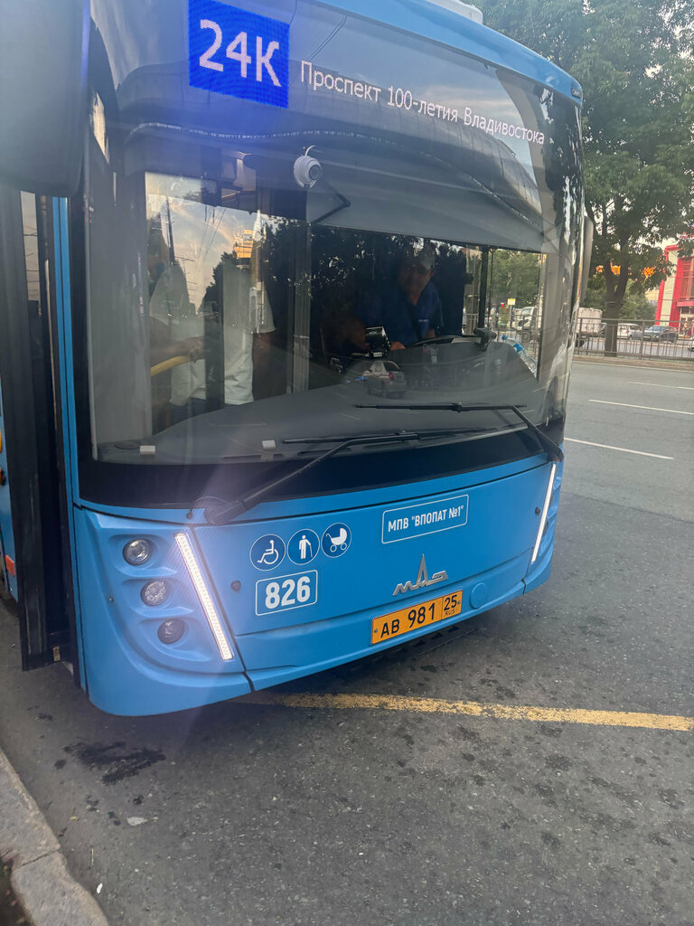 Toplu taşıma yönetimi ve bakımı Vladivostokskoye proizvodstvennoye obyedineniye passazhirskogo avtotransporta-1, Dispetcherskaya, Vladivostok, foto