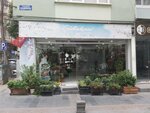 Gülbahçesi Çiçekçilik (Samsun, İlkadım, Osmaniye Cad., 22), çiçekçiler  Samsun'dan