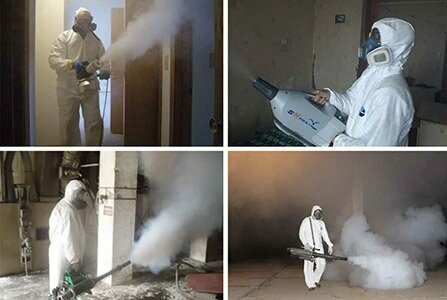 Haşere ilaçlama firmaları Dez-ses-msk, Moskova, foto