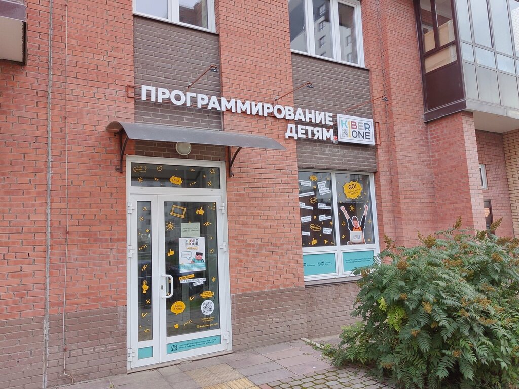Bilgisayar kursları Kiberone, Krasnoyarsk, foto