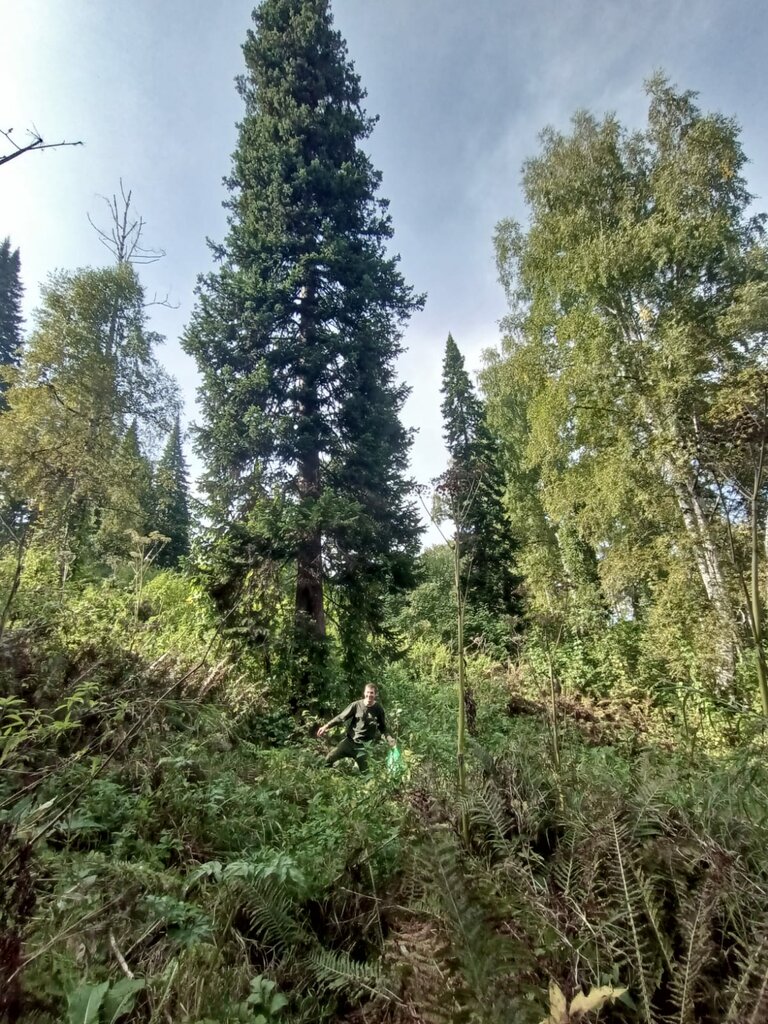 Bahçecilik dernekleri ve kuruluşları СНТ Гидродобытчик, , foto
