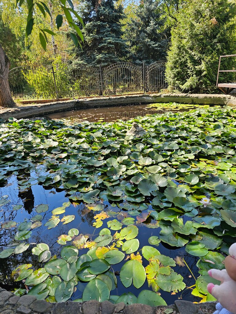 Çevre dernekleri Эколого-биологический центр, Krasnodar, foto