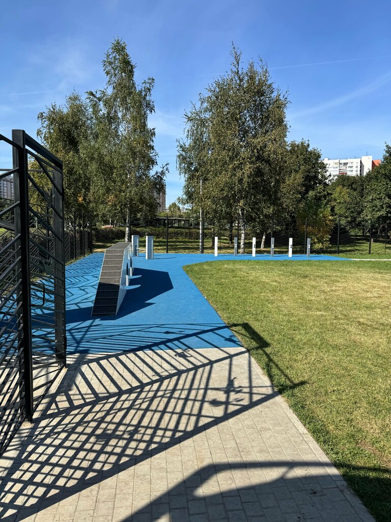 Köpek gezdirme alanları Dog park, Moskova, foto