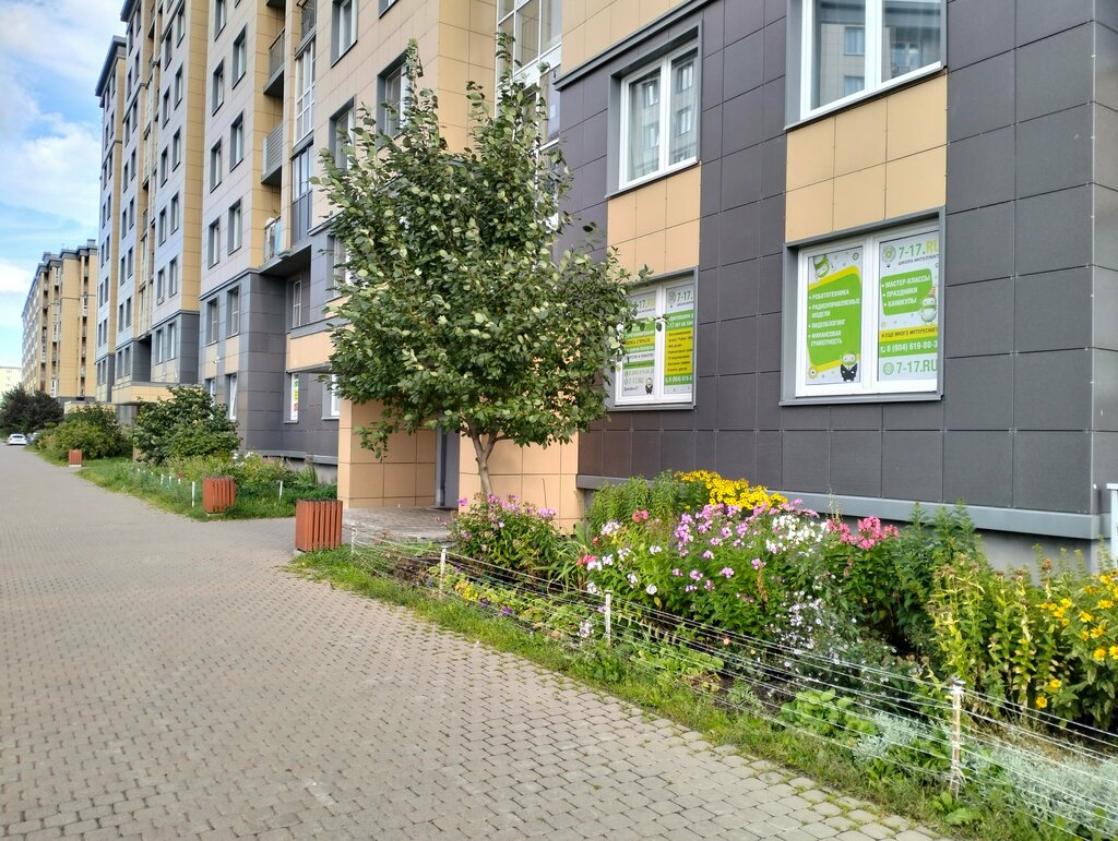 Çocuk gelişim merkezleri Shkola Intellekta 7-17, Saint‑Petersburg, foto