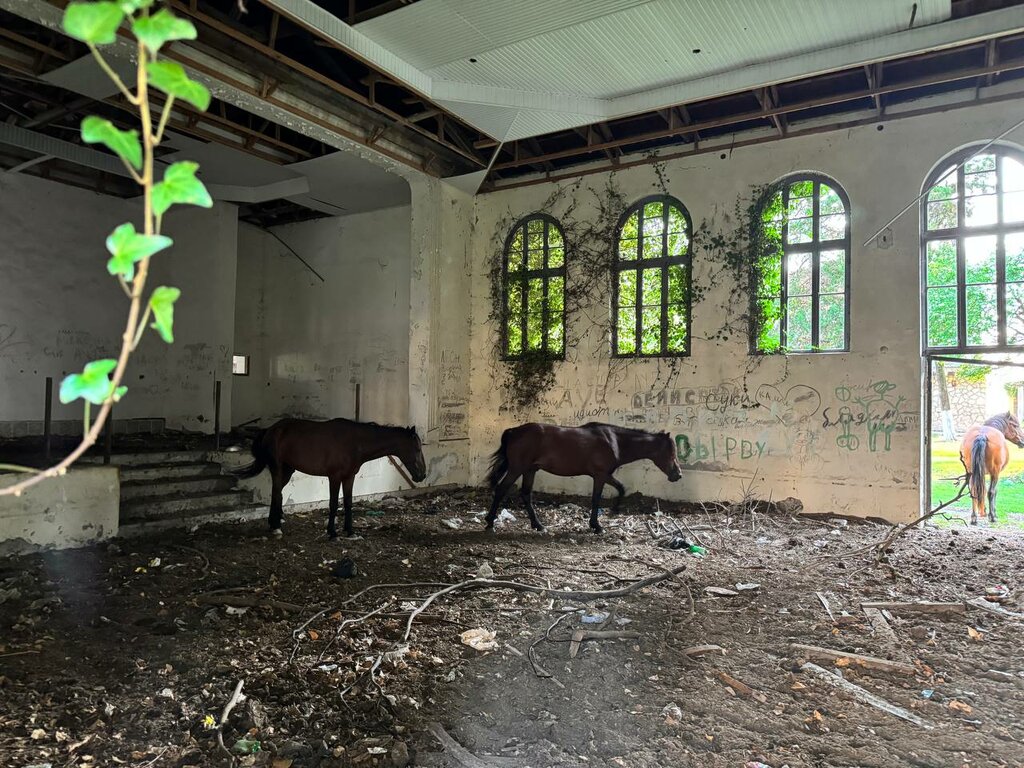 Sinemalar Cinema, Oçamçıra, foto