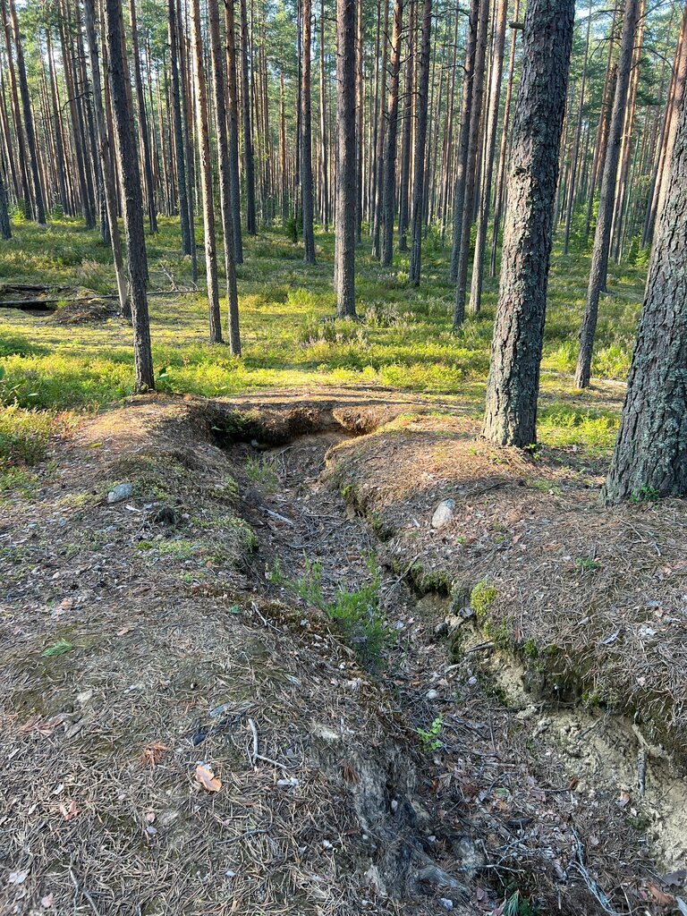 Turistik yerler Блиндаж, Saint‑Petersburg, foto