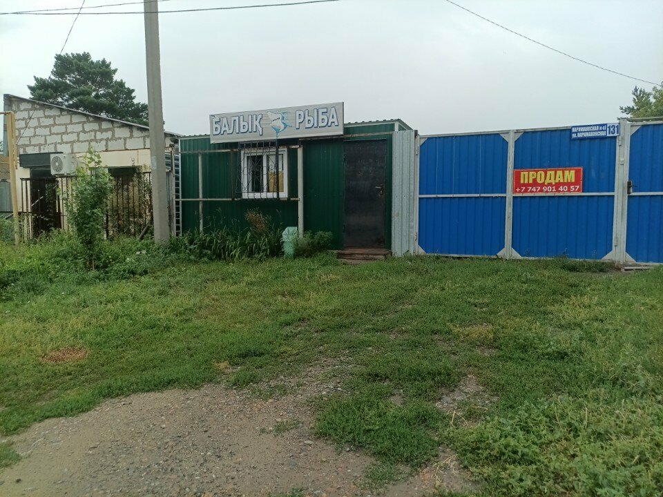 Balık ve deniz ürünleri Balyk, Kostanay, foto