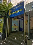 Karandash (Aıbergenov kóshesi No:4), baskı hizmetleri  Çimkent'ten (Şımkent'ten)