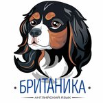 Britanica (Chelyuskintsev street No:101), yabancı dil kursları  Voronej'den