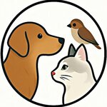 Veteriner Medeniyet Veteriner Pet ve Kuş Kliniği - Ümraniye - Şerifali- Ataşehir - Dudullu (İstanbul, Ümraniye, Şerifali Mah., Açıkyüz Sok., 6A), veteriner klinikleri  İstanbul'dan